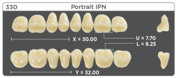 Portrait® IPN® 330 P59 10 Posterior Upper Denture Teeth Set of 8 ...